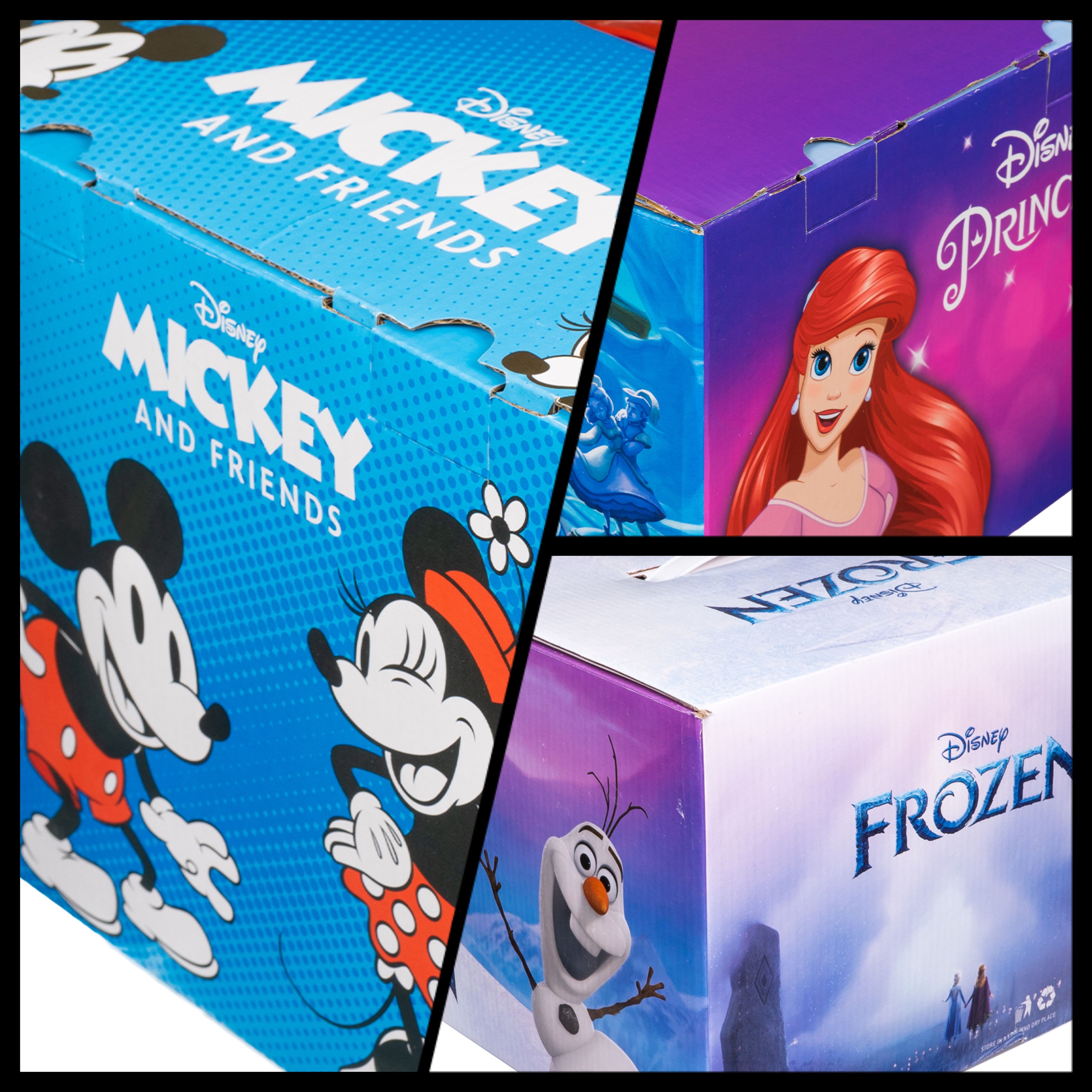 Disney Mystery Boxes – Stylin Boxes