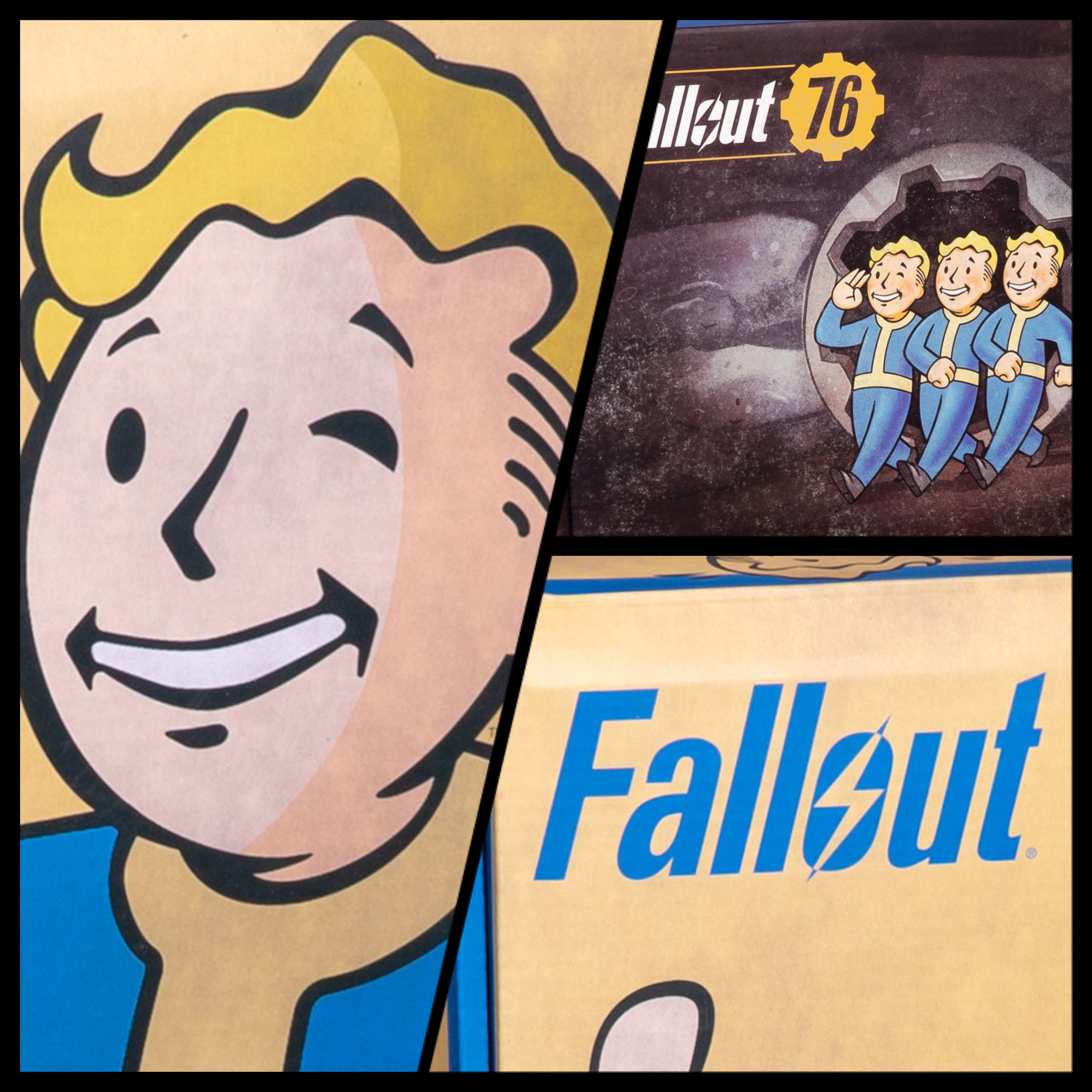 Fallout Mystery Boxes – Stylin Boxes