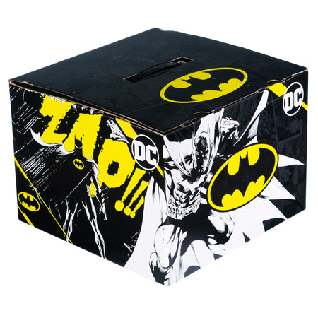 Batman Mystery Box – Stylin Boxes