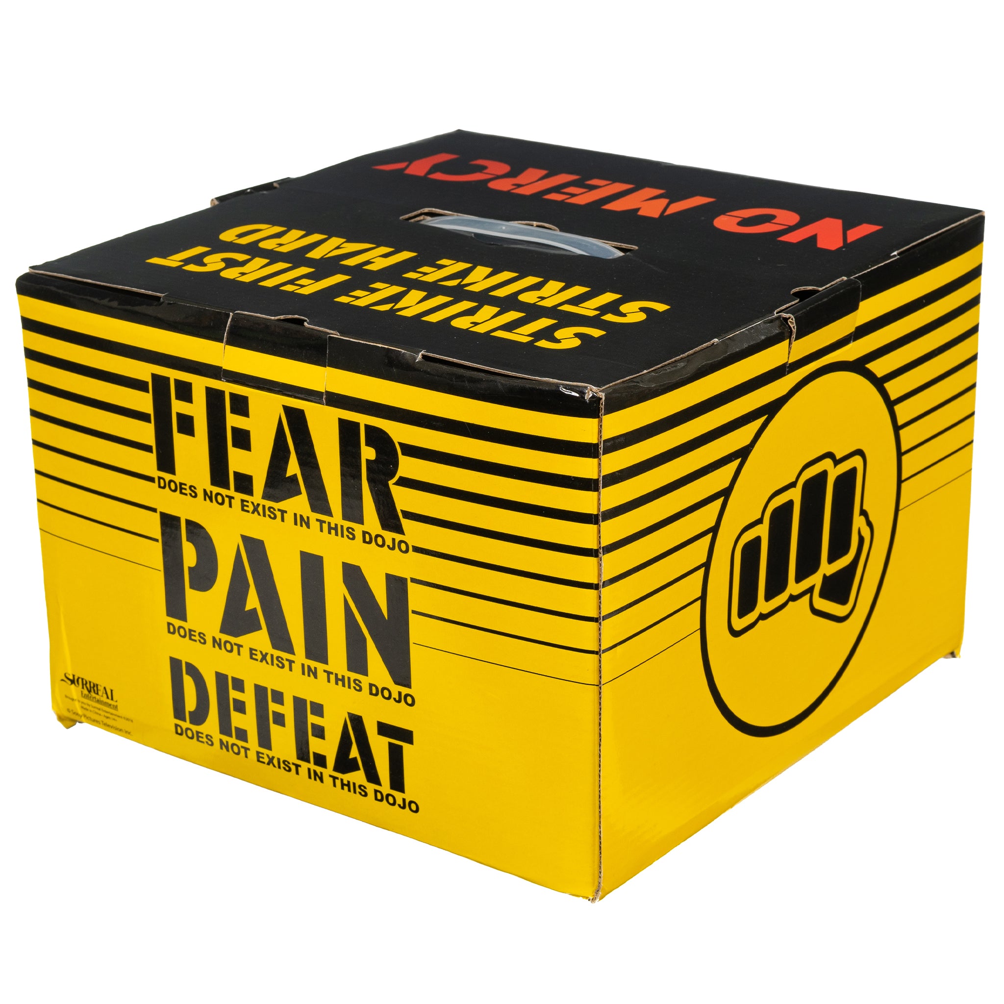 Cobra Kai Mystery Box – Stylin Boxes