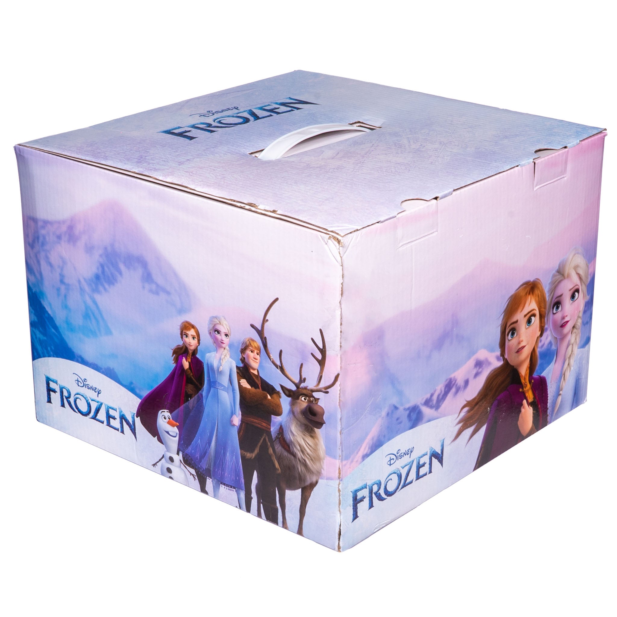 Frozen Mystery Box – Stylin Boxes