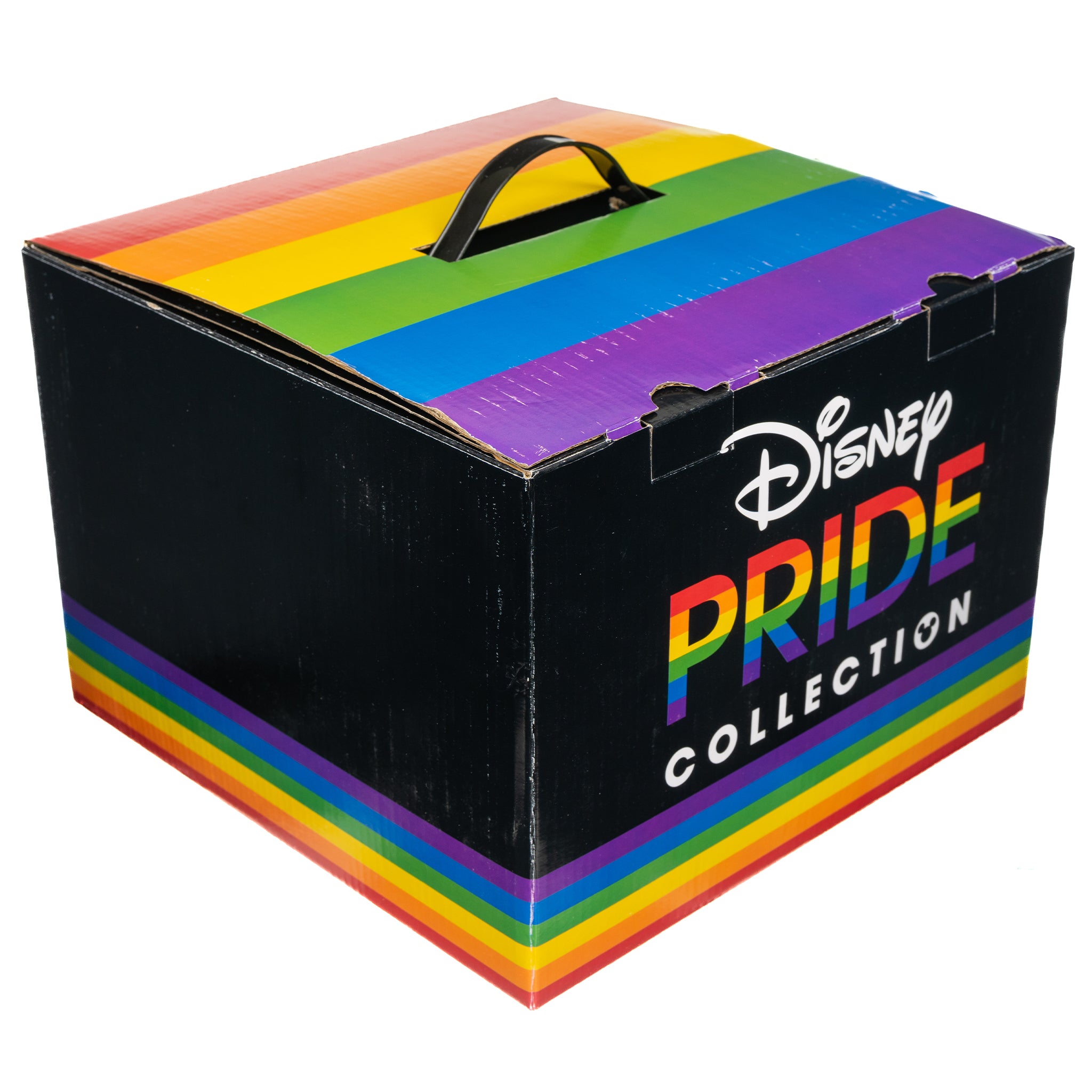 Disney Pride Mystery Box – Stylin Boxes