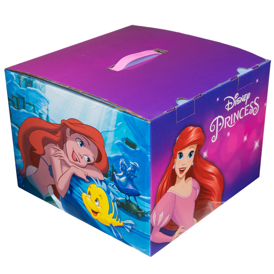 Disney Ariel Princess Mystery Box – Stylin Boxes