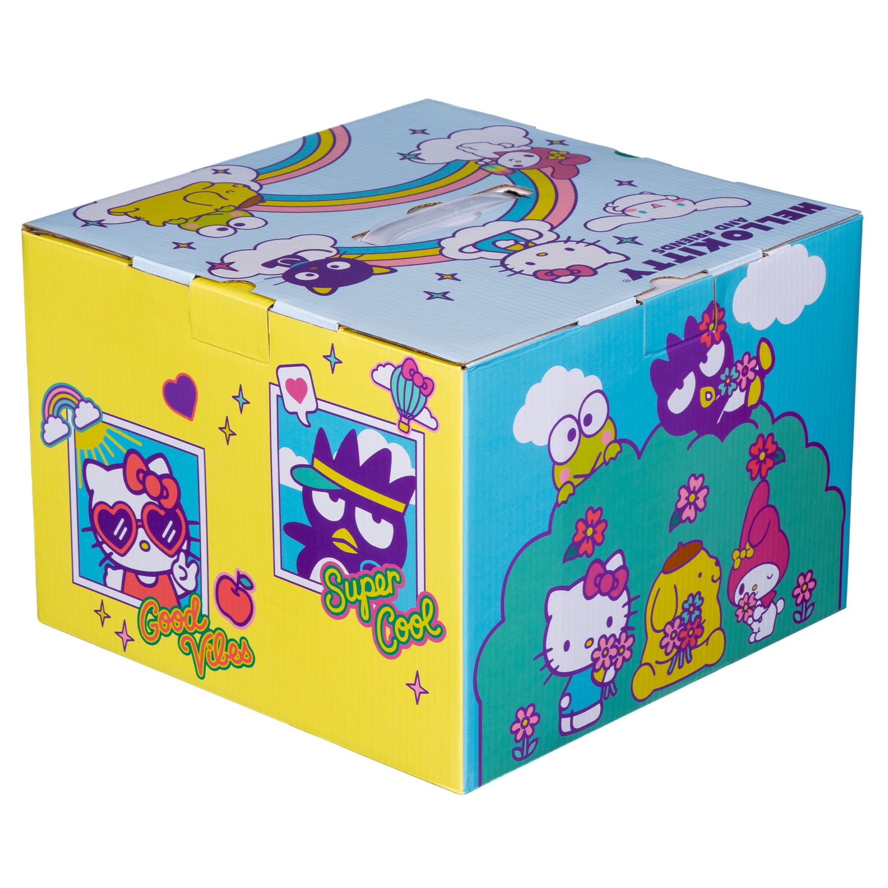 Hello Kitty Mystery Box – Stylin Boxes