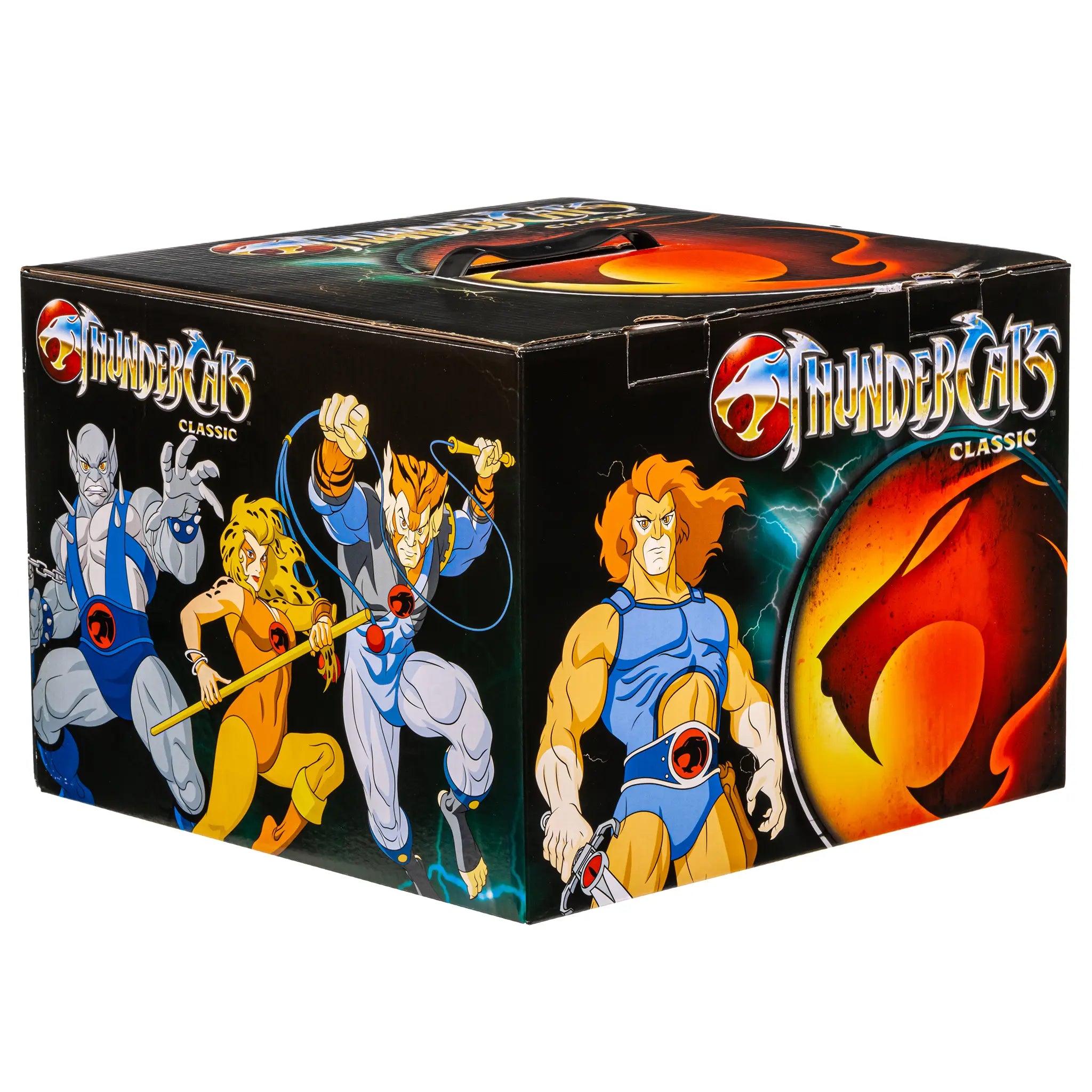 Thundercats Mystery Box Version 2 – Stylin Boxes