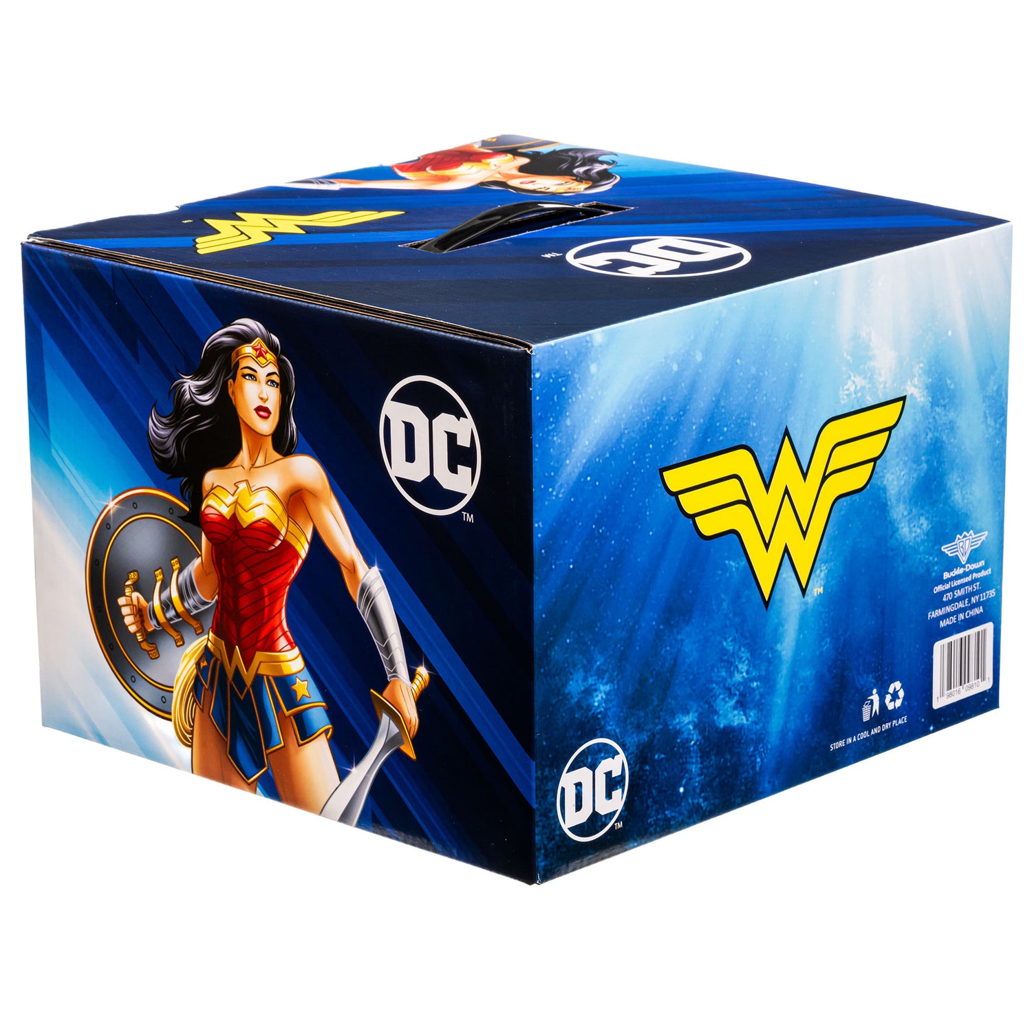 Wonder Woman Mystery Box Version 3 – Stylin Boxes