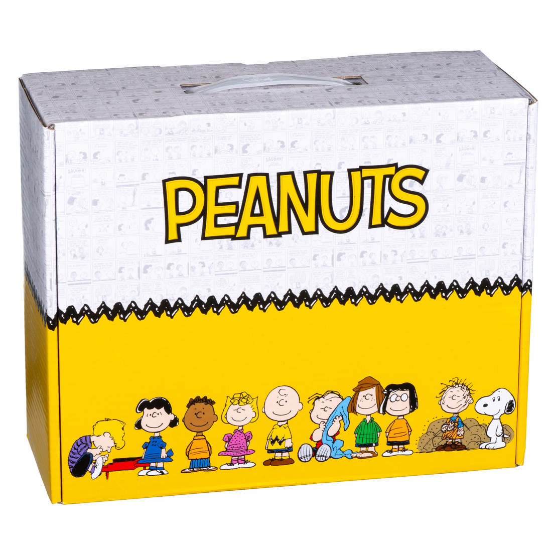 Peanuts Mystery Box – Stylin Boxes